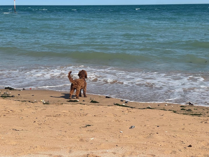 Harbour Harmony - Margate