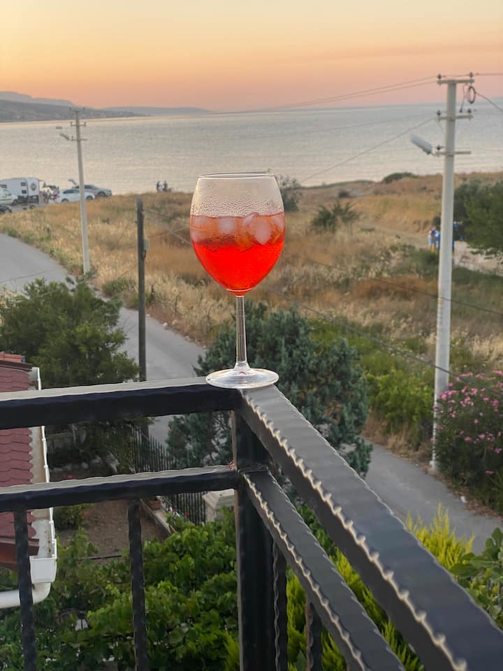 Ferrodise Urla - Barbaros