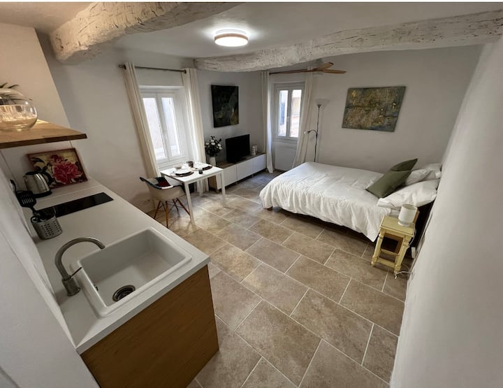 Studio Centre Valbonne - Valbonne