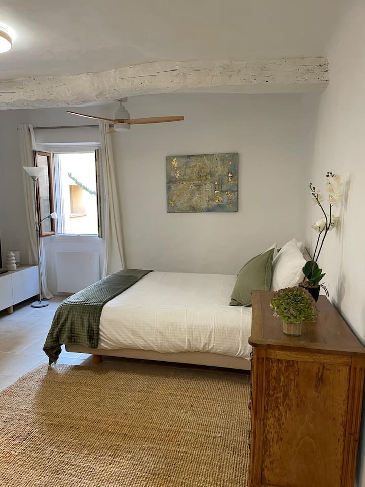 Studio Centre Valbonne - Valbonne