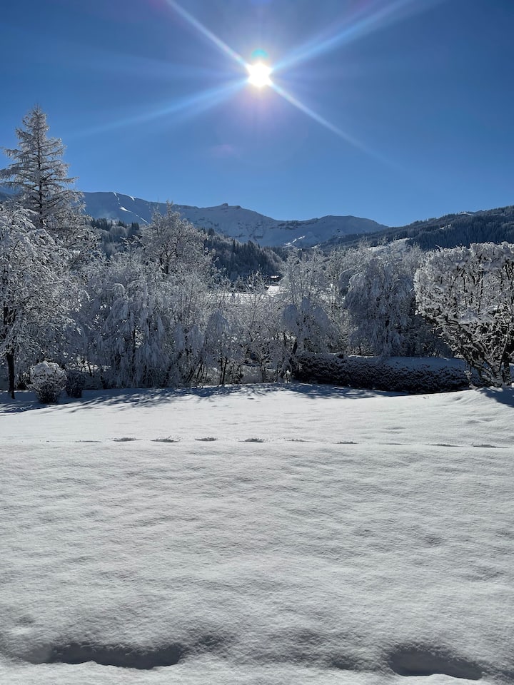 Nouveau : Appartement Luxe Et Spa Megève - Combloux