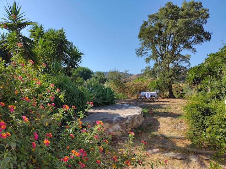 Jardins Do Carapeto - Vila Nova de Milfontes