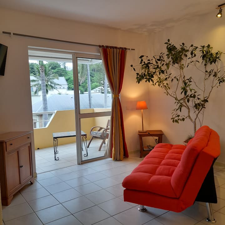 F2 Aéré Et Lumineux Centre-ville - Nouméa