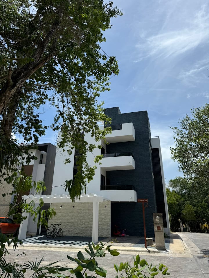 Infinitely Beautiful Experience In The Jungles - Puerto Morelos