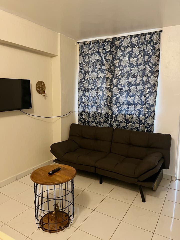 Mini | Minutes From Airport - Carolina