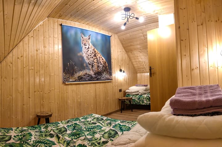 Domek Rysia - Solina