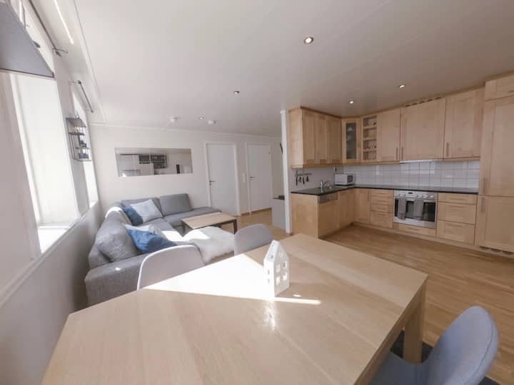 Fantastisk Leilighet Sentralt I Trondheim - Trondheim