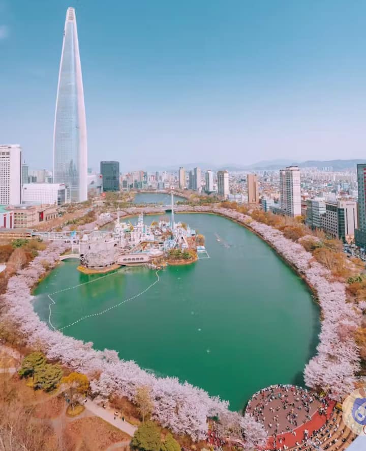 벚꽃명소*3q1s•가족친화숙소•롯데월드•성수역7분•명동•동대문•뉴뉴성수동대문•이태원•강남 - Seoul