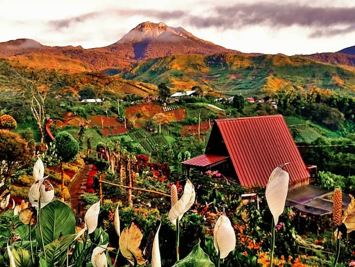 Quinto's Farm A-house -