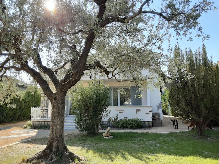 Gîte La Ventoux
Hébergement Pour 4 Personnes - Nyons