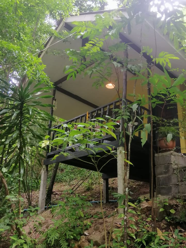 Jungle House - Ko Pha Ngan