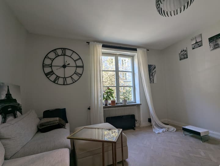 Classic Apartment In Stockholm's Little Paris - Stockholm