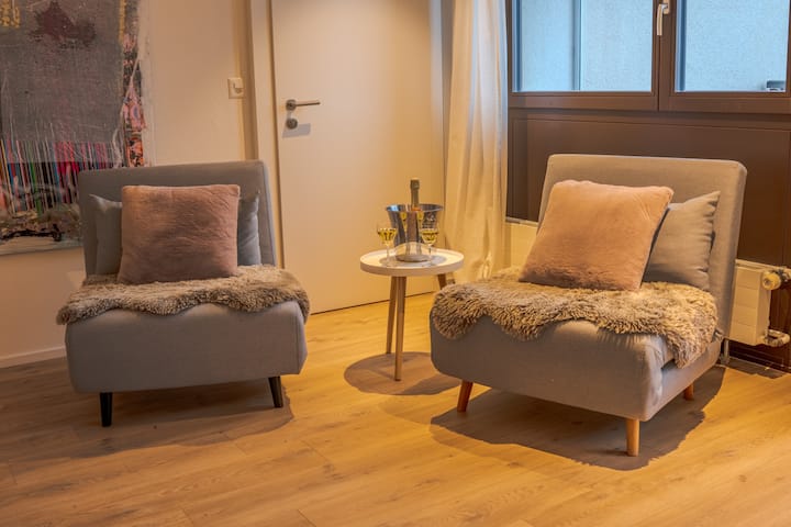 Appartement De Luxe Au Cœur De Villars - Les Diablerets