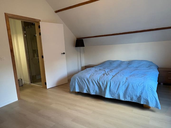 Ruime Kamer Aan De Gentse Stadsrand - Gand