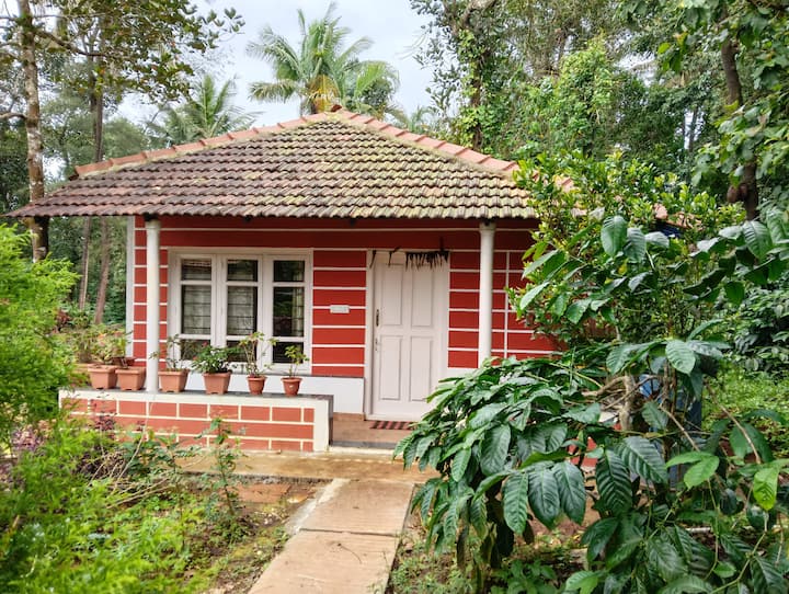 Mina Stay
In Coffee Plantation - Sakleshpura