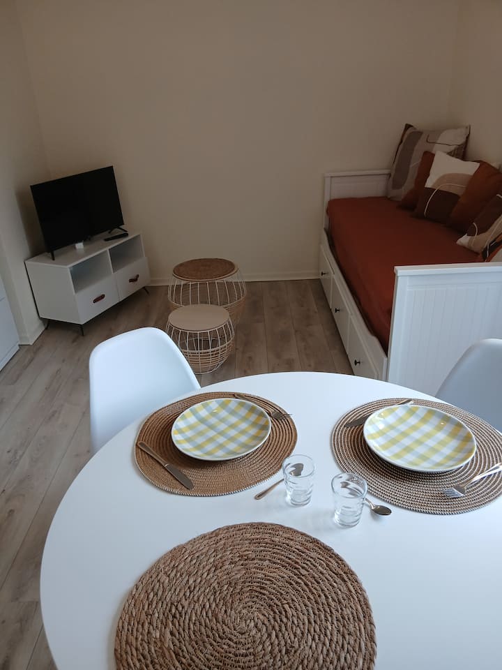 Charmant Studio De 21m² - Reims