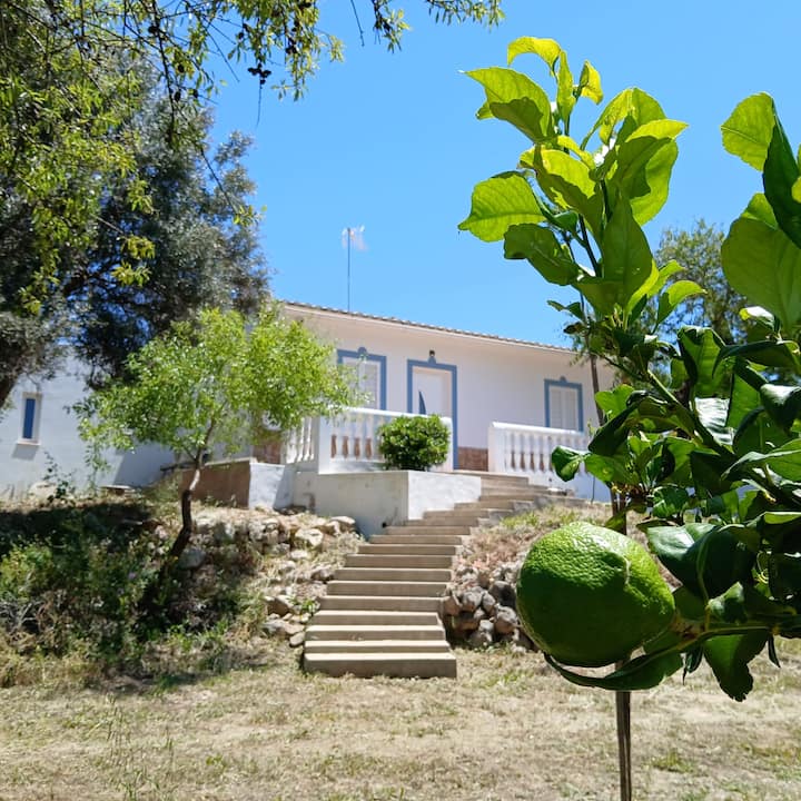 Casa Jacaranda-nexe - Aéroport de Faro (FAO)