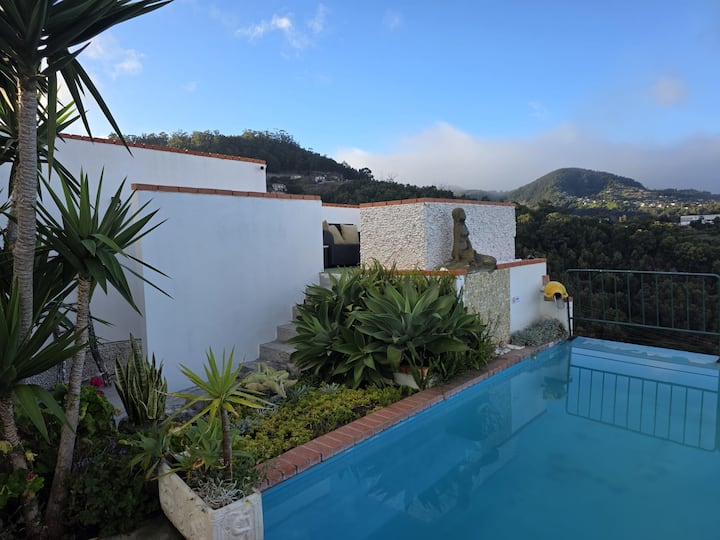 Apartment Pool View Iii - Madeira Island