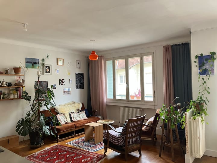 Appartement Chaleureux, Croix-rousse - Lyon
