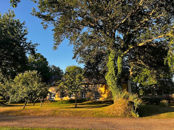 Les Cocons D'agathe - Penn Ar Gwel - 5 Min Plages - Moëlan-sur-Mer
