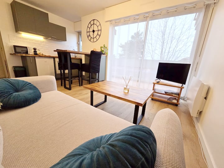 Le Cocon Du Pillon - Thonon-les-Bains