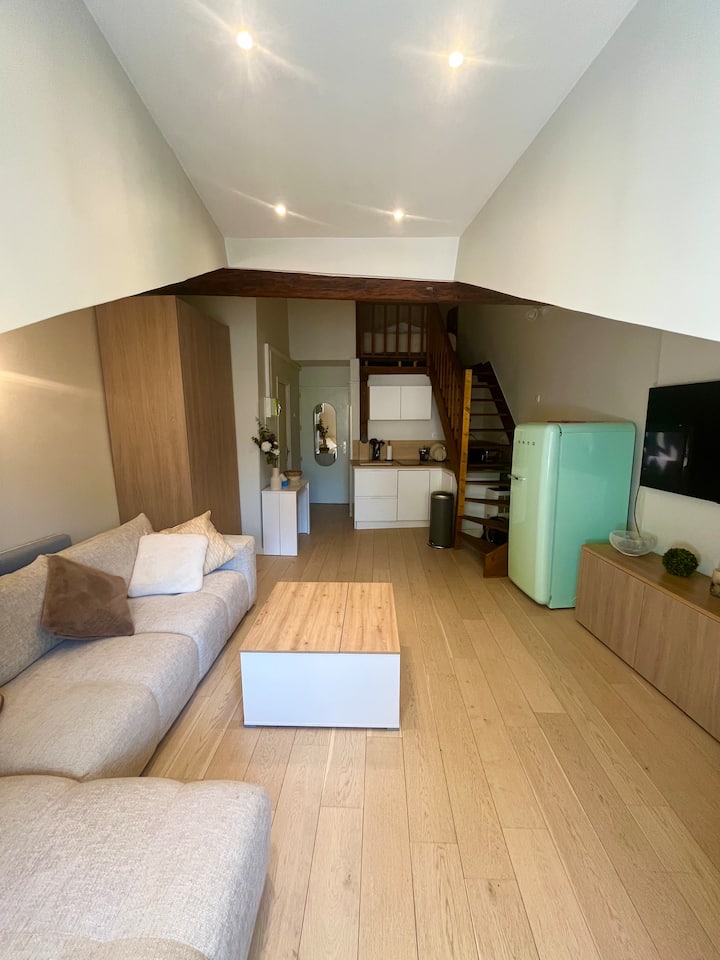 Charmant Studio Aux Portes Du Centre Historique - Chambéry