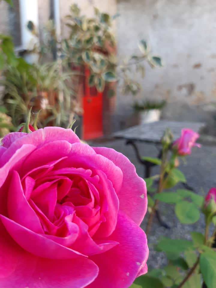 Chambre Atypique Tour Pleine Nature - Saint-Girons