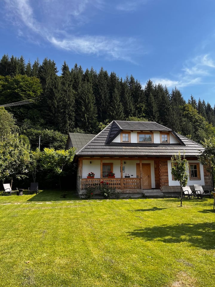 Cabana - Vișeu de Sus