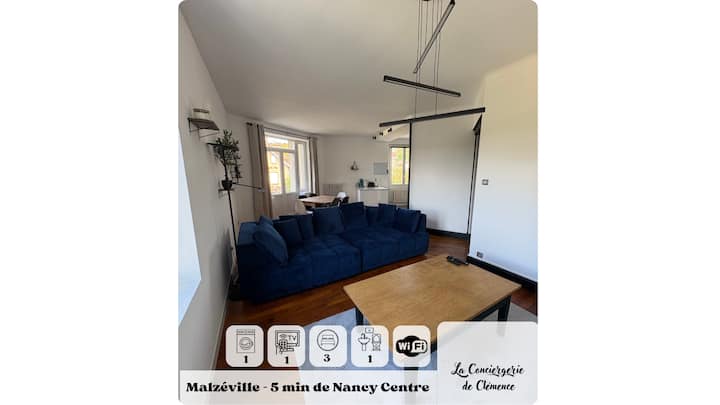 Le Chaleureux F4 - 5min Nancy Centre - Nancy