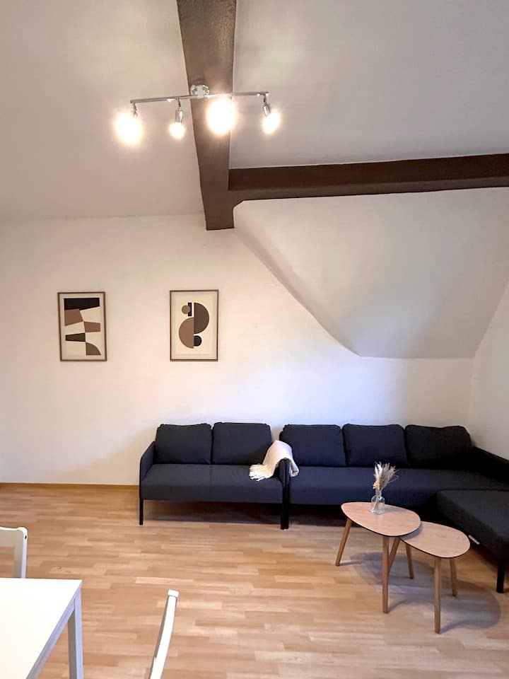 Monteurs- Und Ferienwohnung Miltenberg - Miltenberg