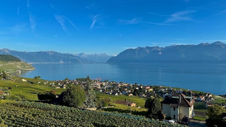 Dans Les Vignes - Vue Exceptionnelle Lac & Alpes - Lake Geneva