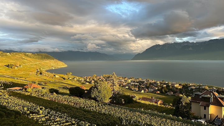 Dans Les Vignes - Vue Exceptionnelle Lac & Alpes - Lausanne