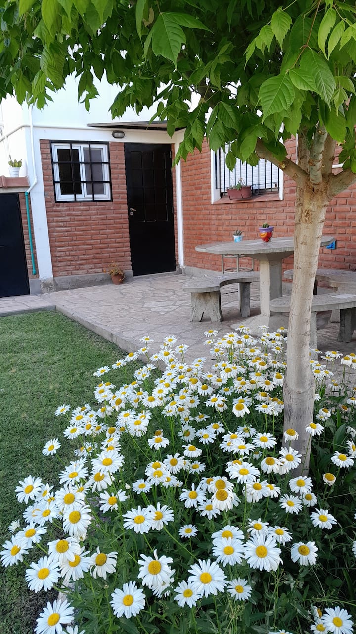 Céntrico Y Cómodo. - Merlo