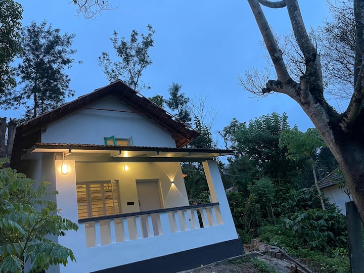 Arctic Tern - Sakleshpura