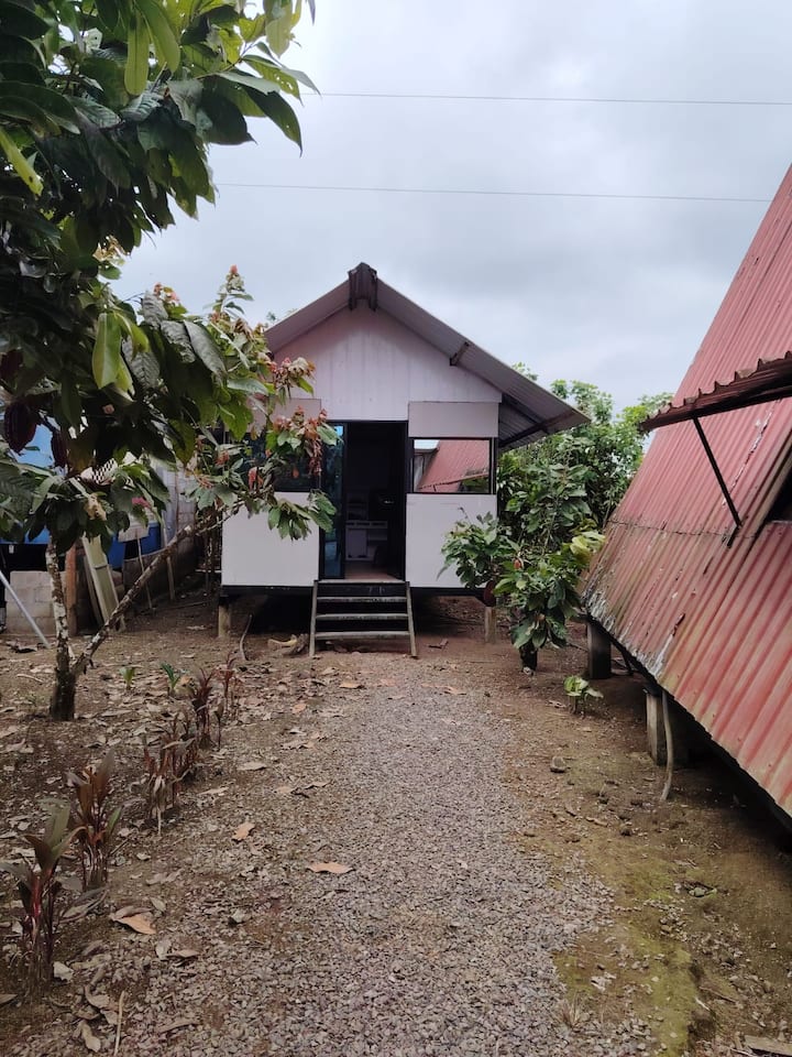 Naturaselv- Rancho Viejo Lucas - Santo Domingo