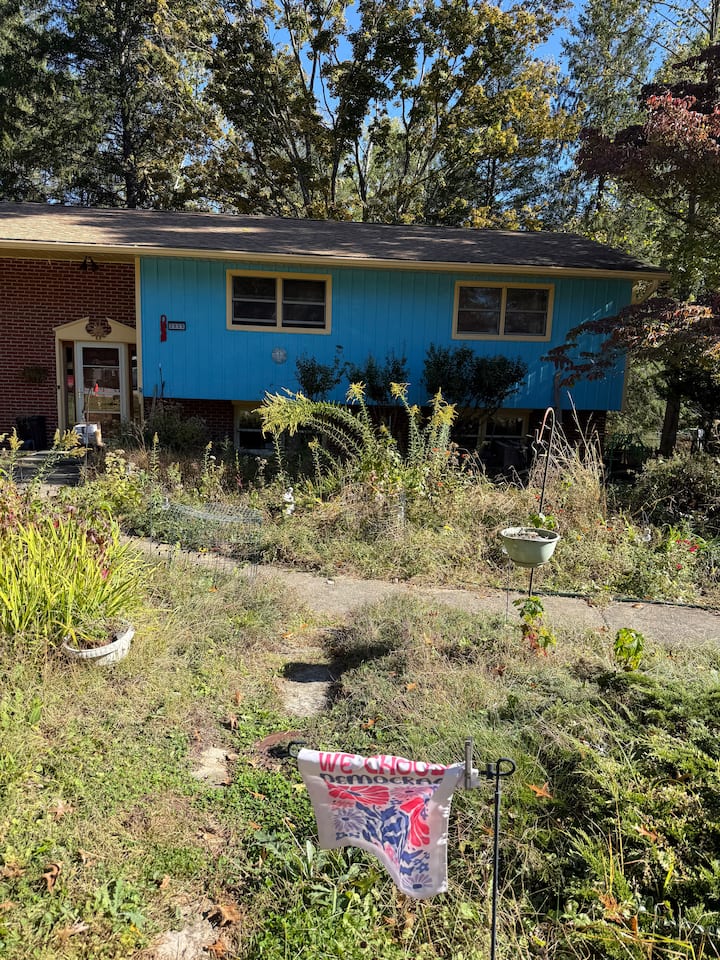 Circle Of Trees - Bloomington, IN