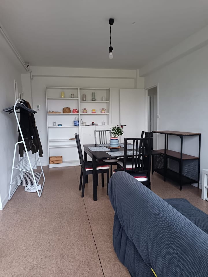 Appartement Familial Proche A31 Et Gare - Thionville