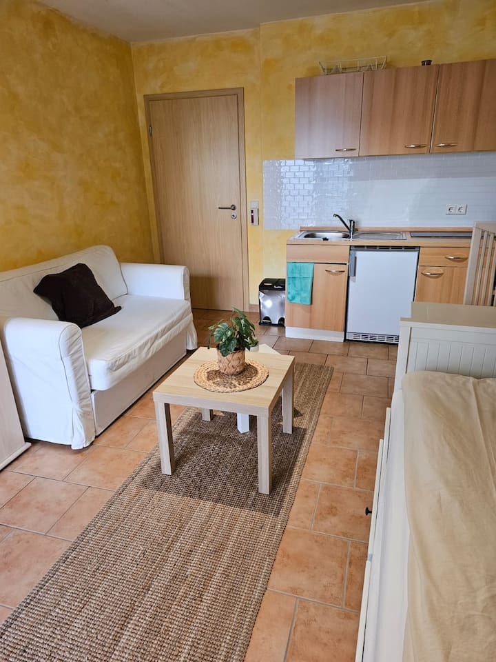 Studiowohnung/zentral/geisenheim - Gau-Algesheim