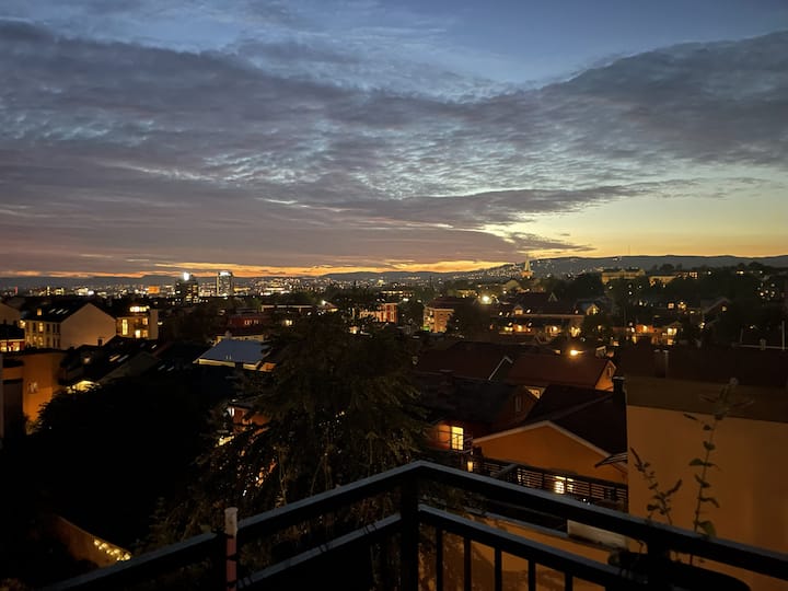 Cozy Apt. For 1-2 In Calm And Friendly Area - Oslo