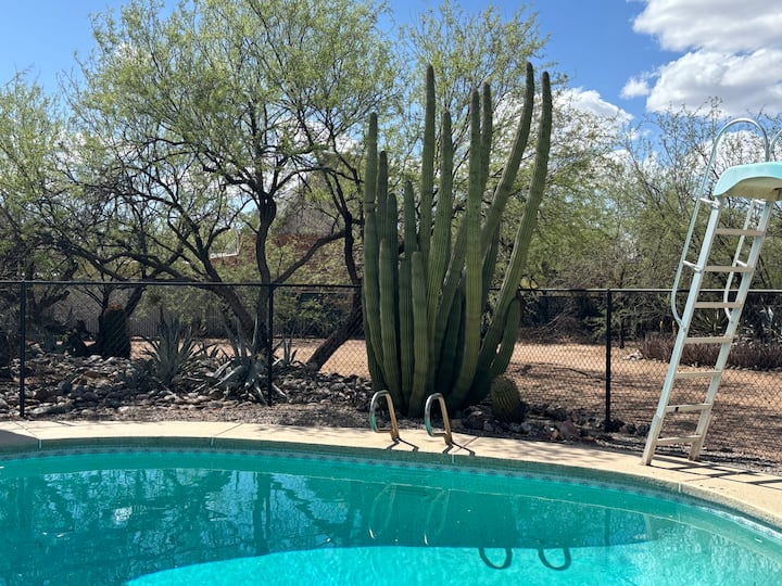 Desert Garden Retreat With Private Pool | 2 Houses - Tucson, AZ