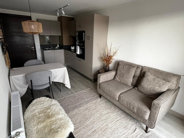 Cómodo Y Acogedor Apt Con Piscina En Natales - Puerto Natales