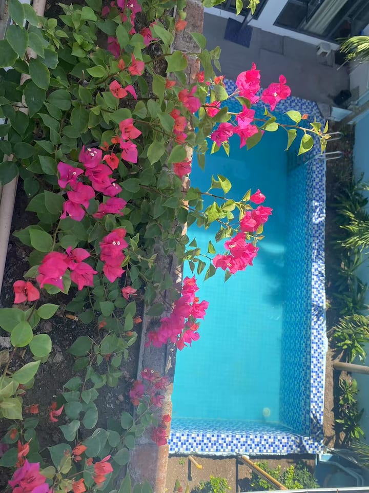 Xkh Apartment Standard Room 1 - Dumaguete