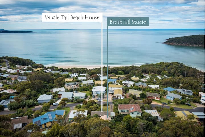 Whale Tail Beach House + Brush Tail Studio - Eden
