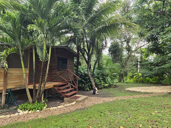 Lovely Garden Suite, Close To Town - Belize