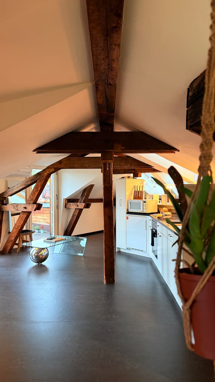 Rooftop Loft - Zürich