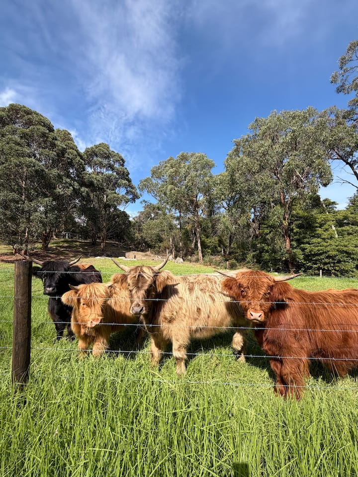 Tiny Home And Coastal Farm Stay - Melbourne