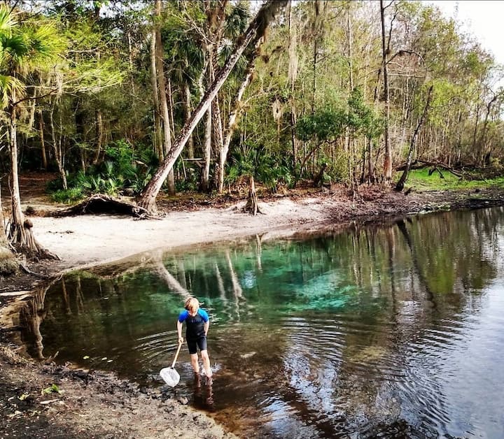 It's Firefly Season! Ocala National Forest Cabin - Florida