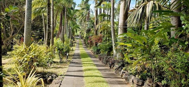 Lilie Location Sapotis 2 Piscine Et Jardin - Saint Joseph