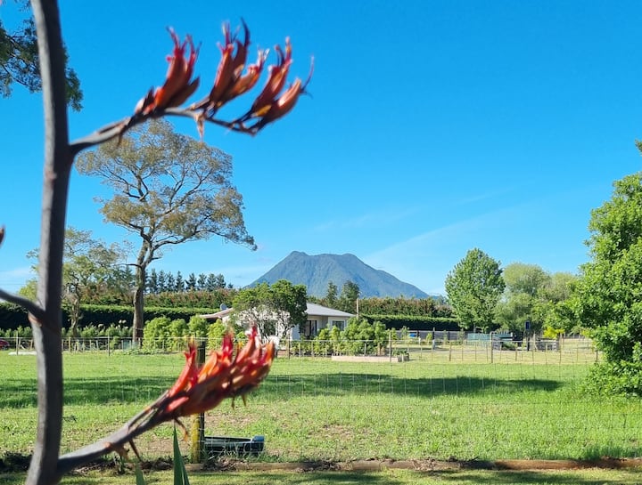 Whakatane District - One Bedroom Spacious Cottage - Kawerau