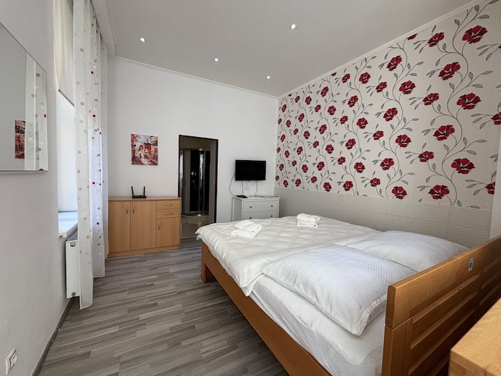 Apartmán Anglická - Mariánské Lázně